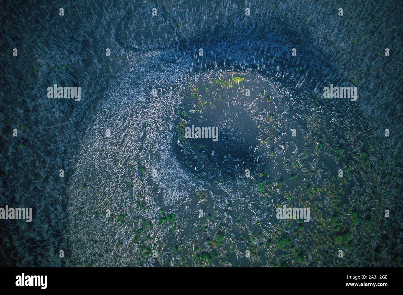 Russia, Kamchatka, Forest peaks buried under slag after eruption of New ...