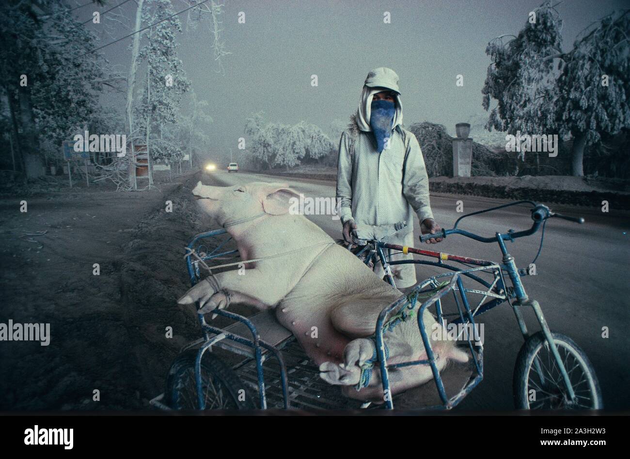 Philippines, Luzon Island, Pinatubo Volcano, 1991 Eruption of Pinatubo ...