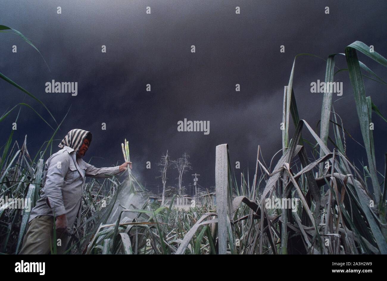 Philippines, Luzon Island, Pinatubo Volcano, 1991 Eruption of Pinatubo ...