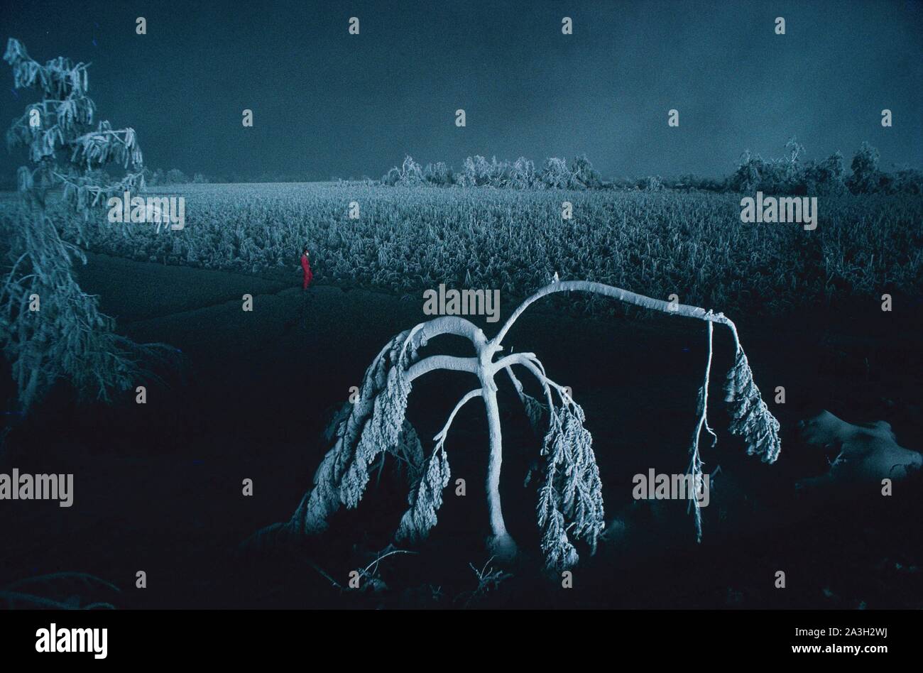Philippines, Luzon Island, Pinatubo Volcano, 1991 Eruption of Pinatubo ...