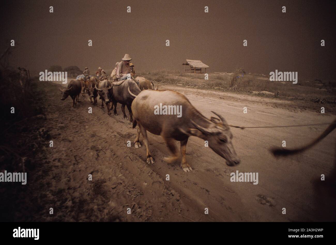 Philippines, Luzon Island, Pinatubo Volcano, 1991 Eruption of Pinatubo ...