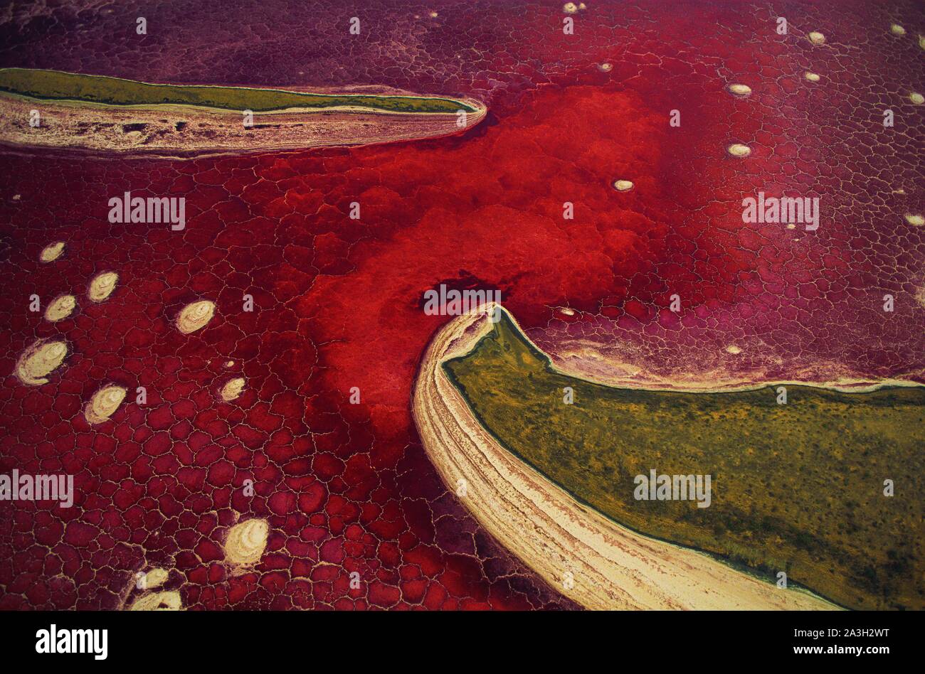 Tanzania, Rift Valley, Lake Magadi as Lake Natron seen from the sky are ...