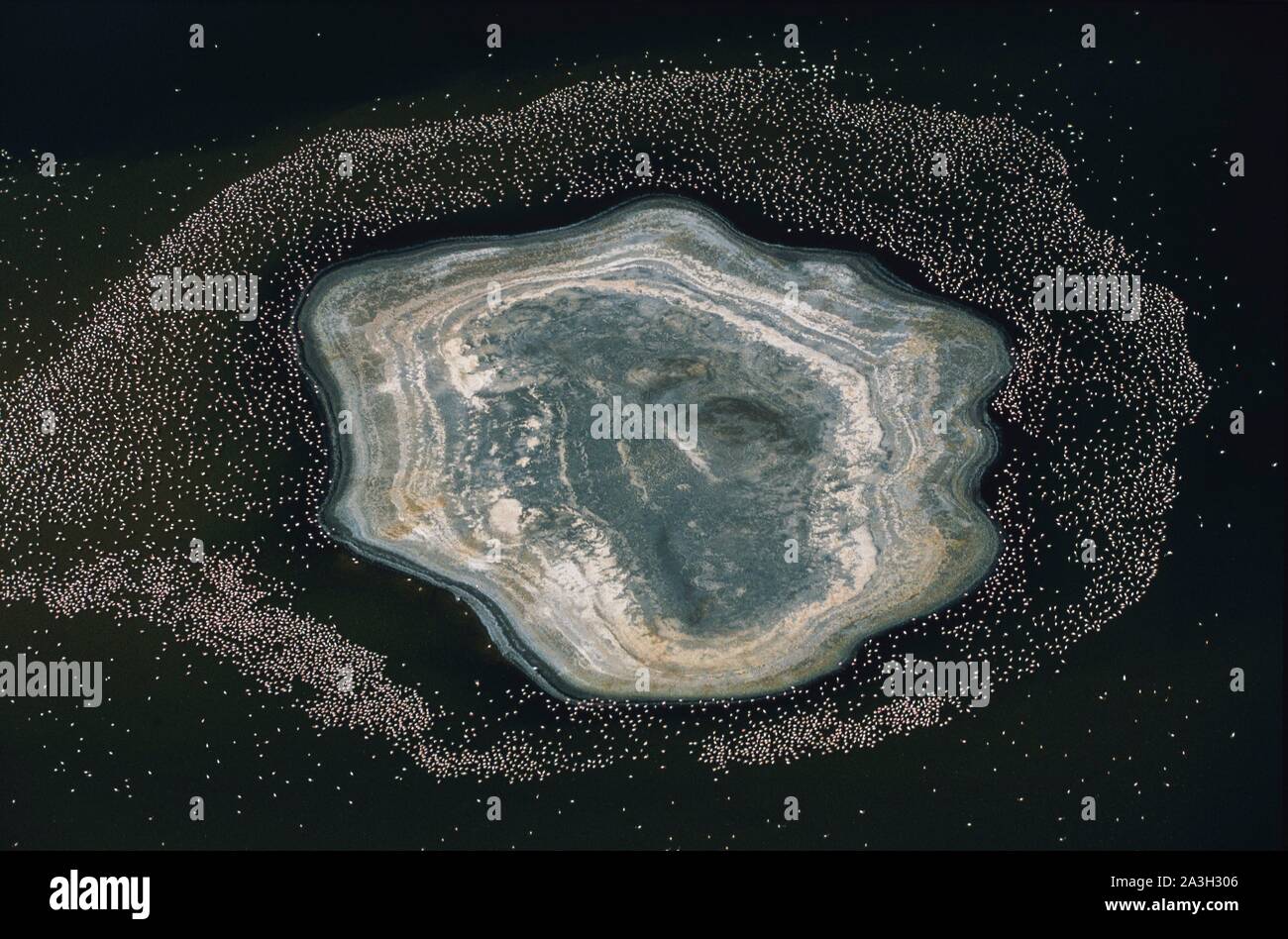 Kenya Aerial View Of Lake Nakuru With Flamingos High Resolution Stock ...