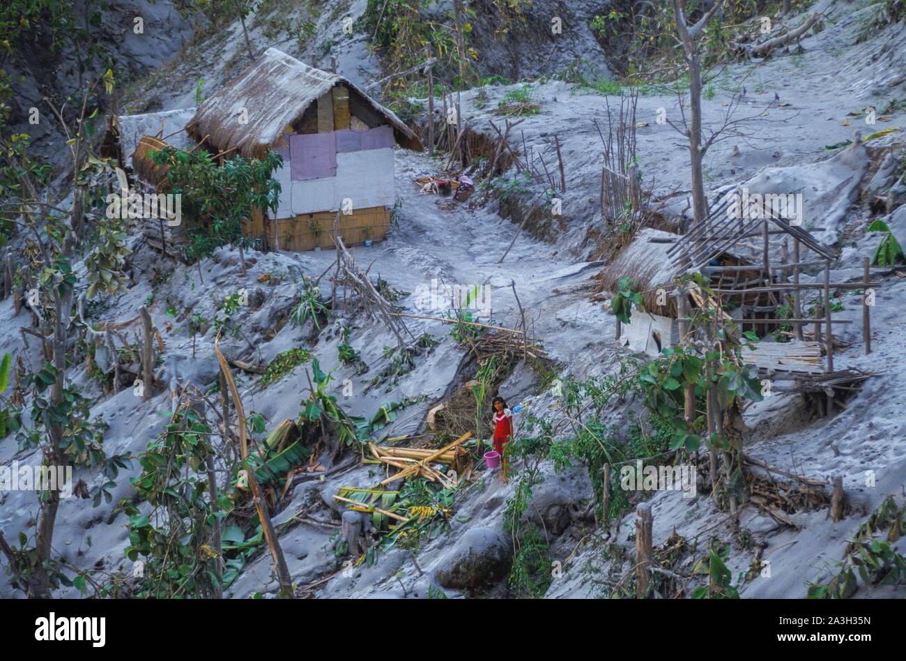 Philippines, Luzon, Pinatubo volcano, Farm destroyed by the weight of ...