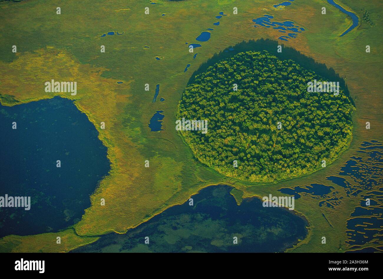 Russia, Kamchatka, Caldera of volcano Karymsky volcano seen from the ...