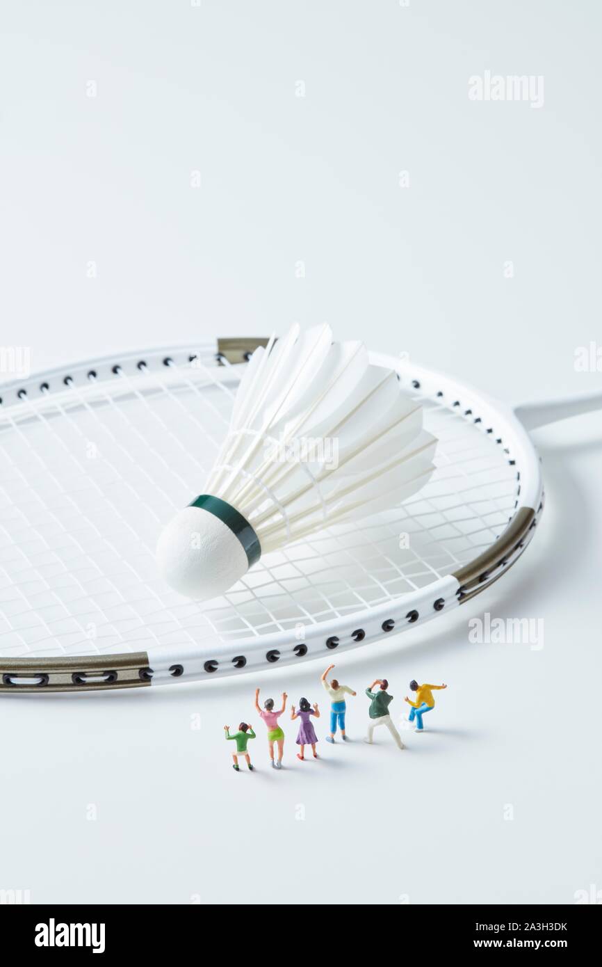 Miniature badminton game hi-res stock photography and images - Alamy
