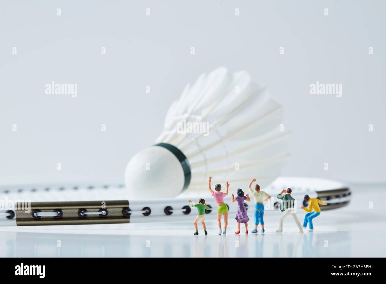 Miniature badminton hi-res stock photography and images - Alamy