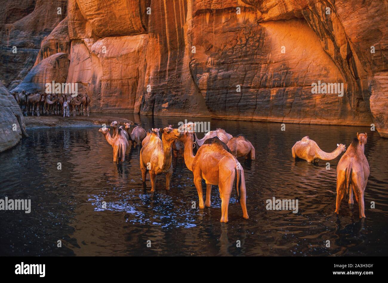 Guelta d’archei hi-res stock photography and images - Alamy