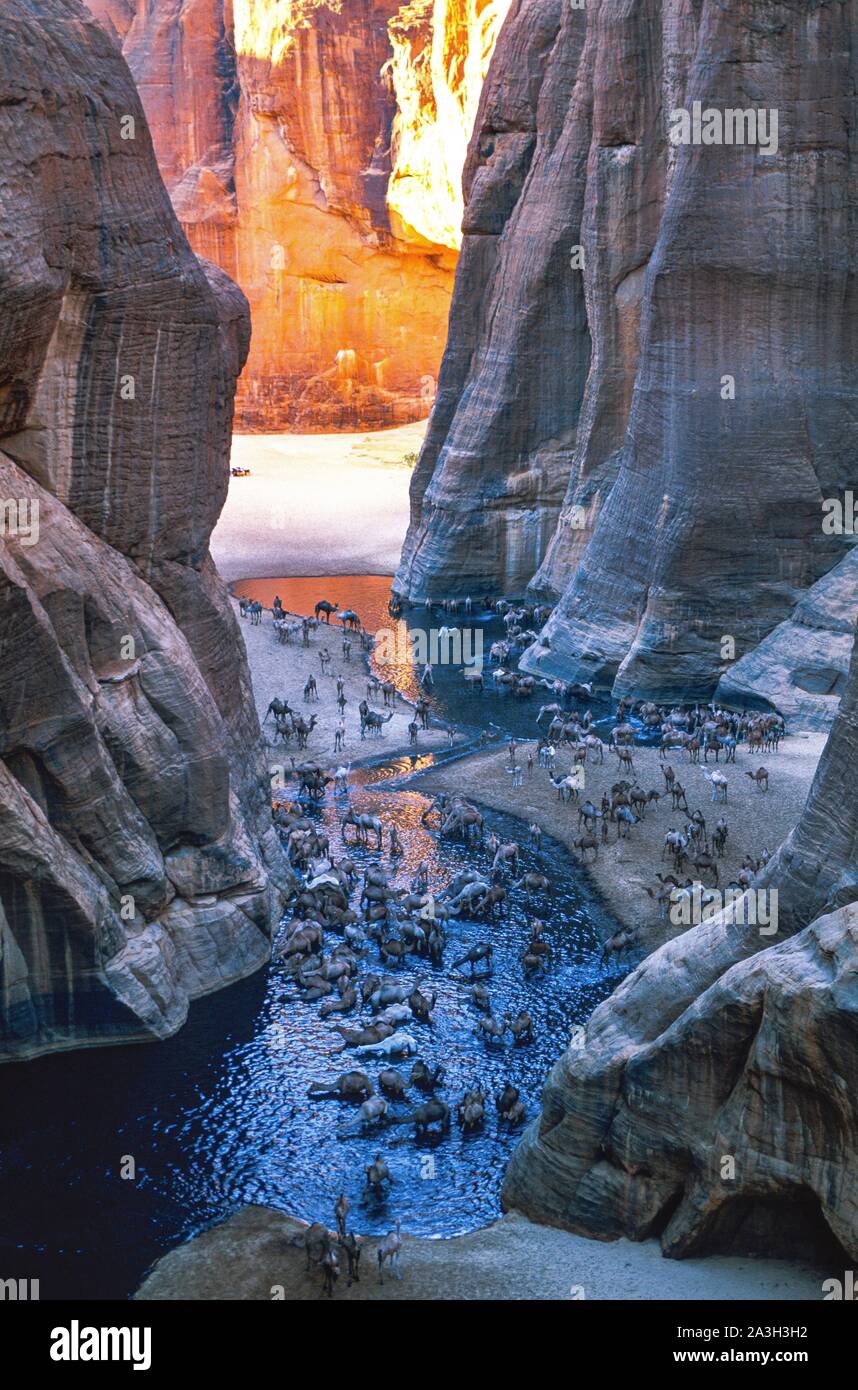 Chad, Ennedi, Sahara, Guelta d'Archei Stock Photo - Alamy