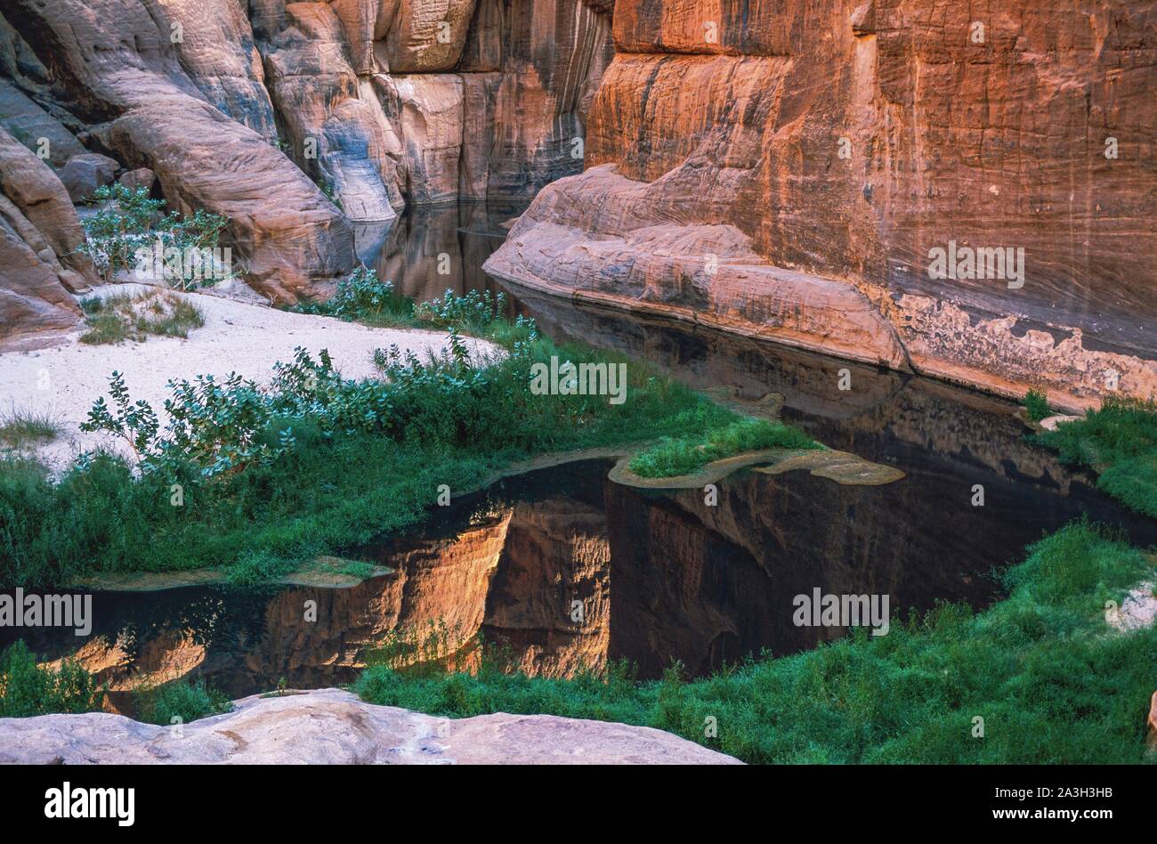 Guelta d'archei hi-res stock photography and images - Alamy