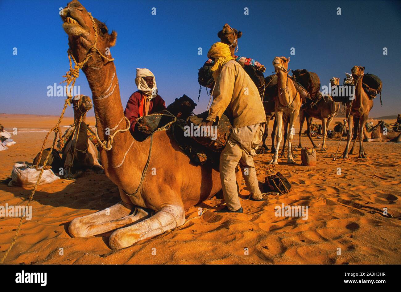 Chad, Ennedi, Sahara, Caravan in the Depression Cora Mordi Stock Photo ...