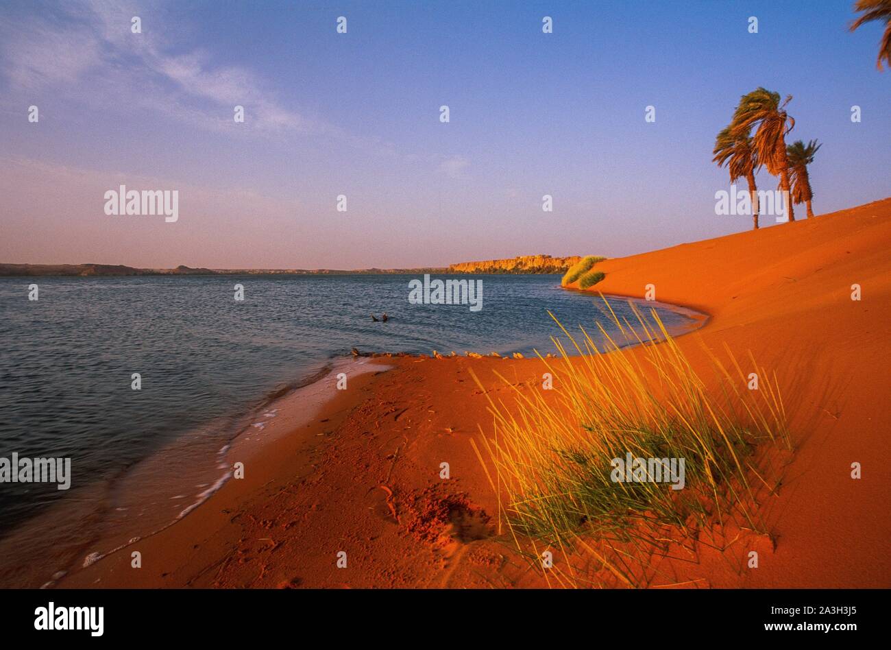 Desert serir hi-res stock photography and images - Alamy