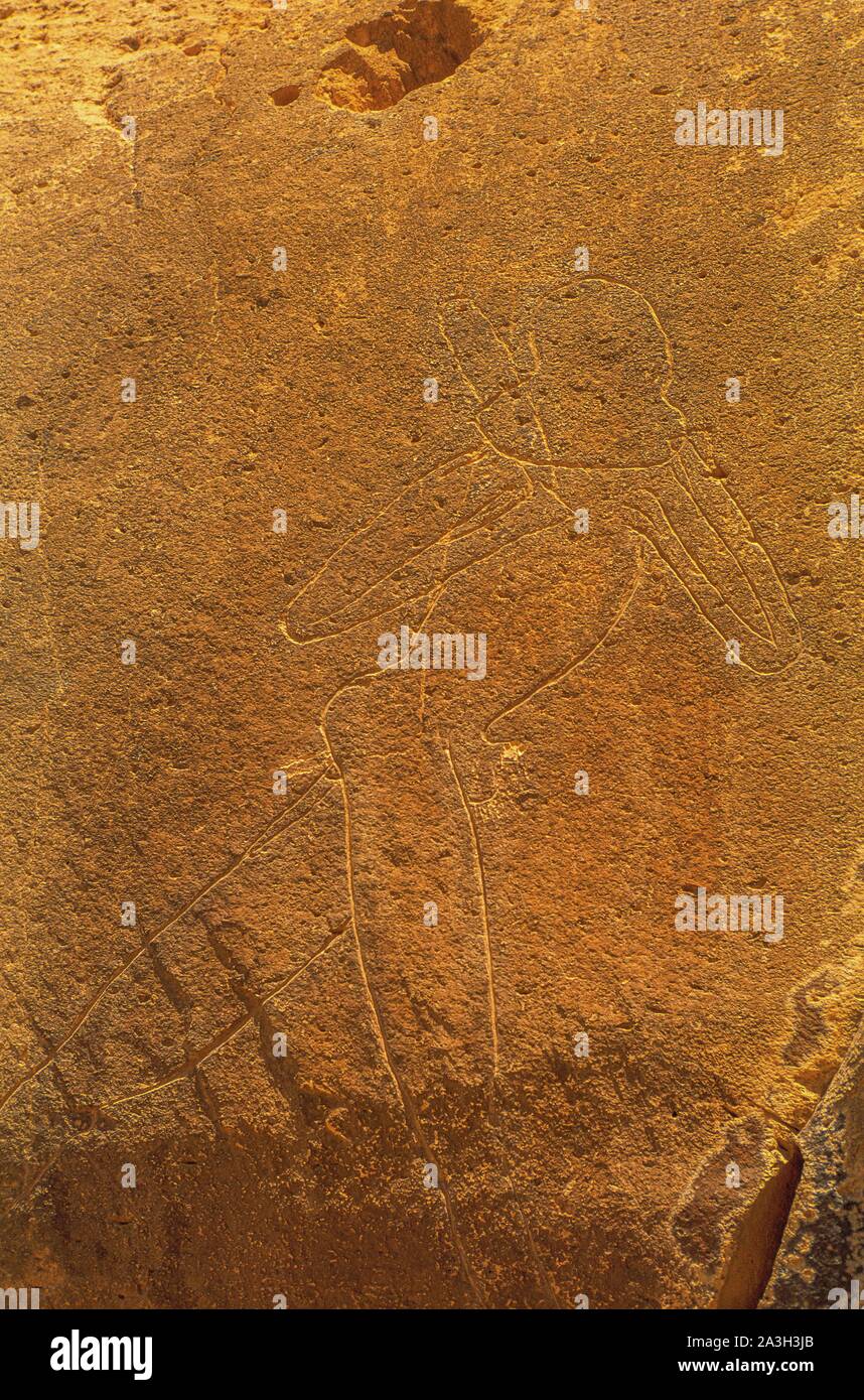 Chad, Tibesti, Sahara, the Man of Gonoa, rock engraving, Bardai ...