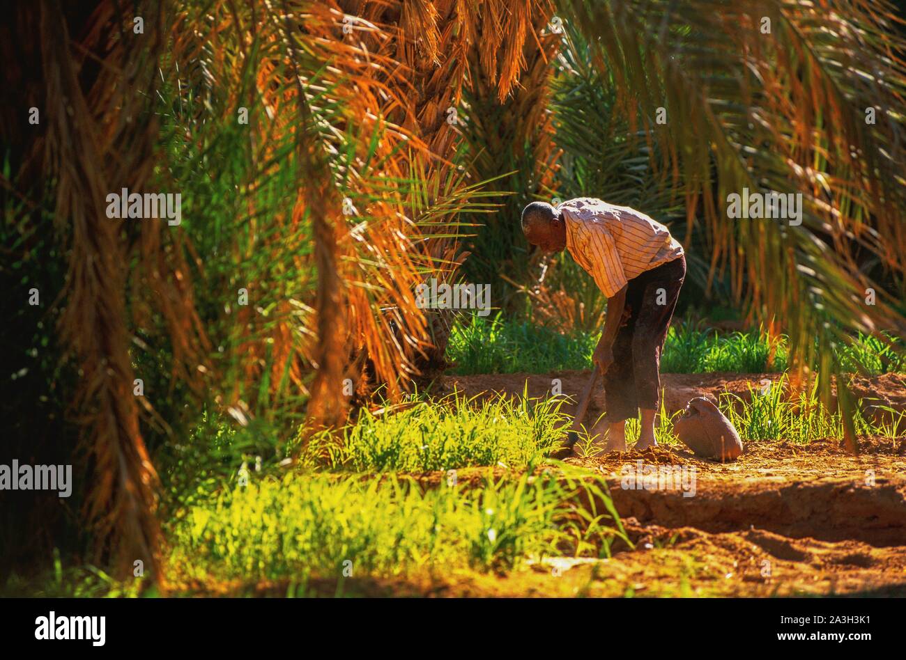 Timimoun people High Resolution Stock Photography and Images - Alamy