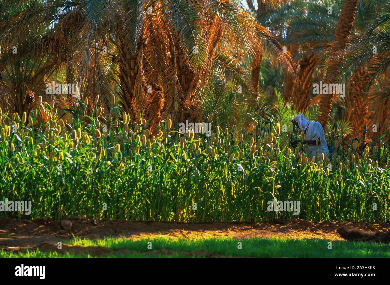 Timimoun people High Resolution Stock Photography and Images - Alamy
