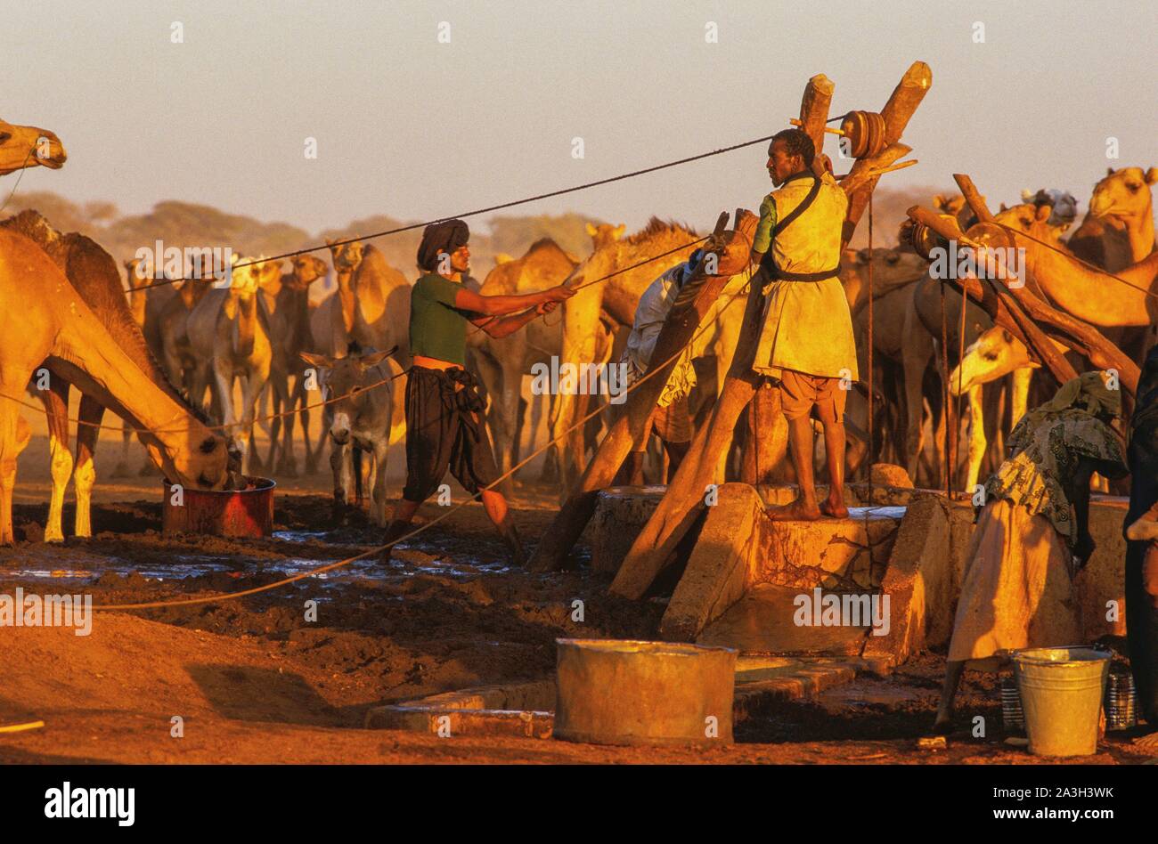Algeria, Adrar, Well in the Adrar Stock Photo - Alamy