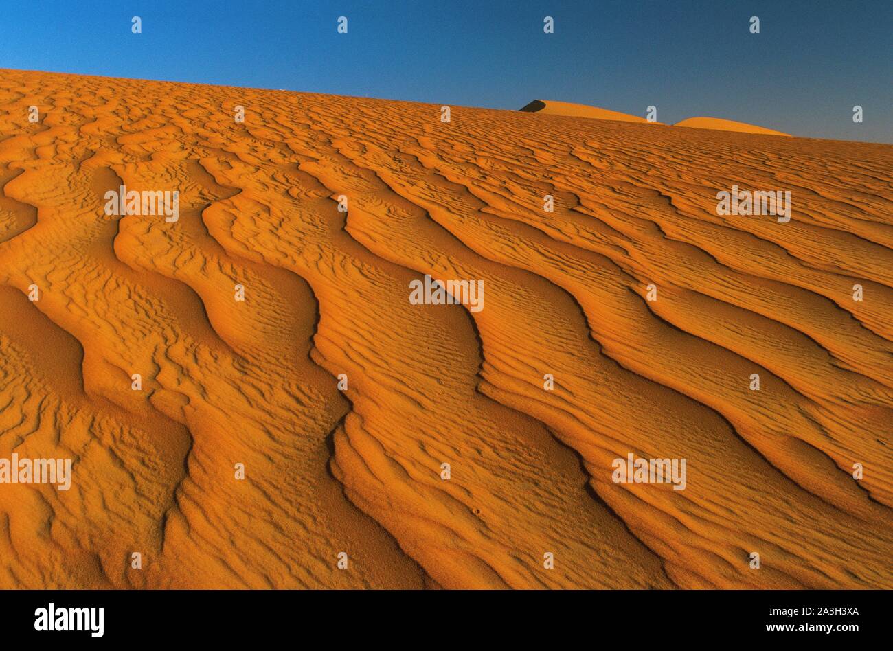 Adrar, algeria hi-res stock photography and images - Alamy