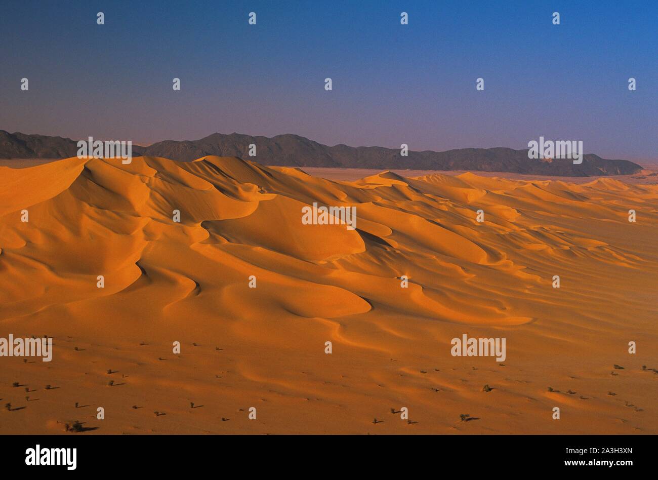 Niger, Tenere, Dunes of Arakao in the desert of Tenere Stock Photo - Alamy