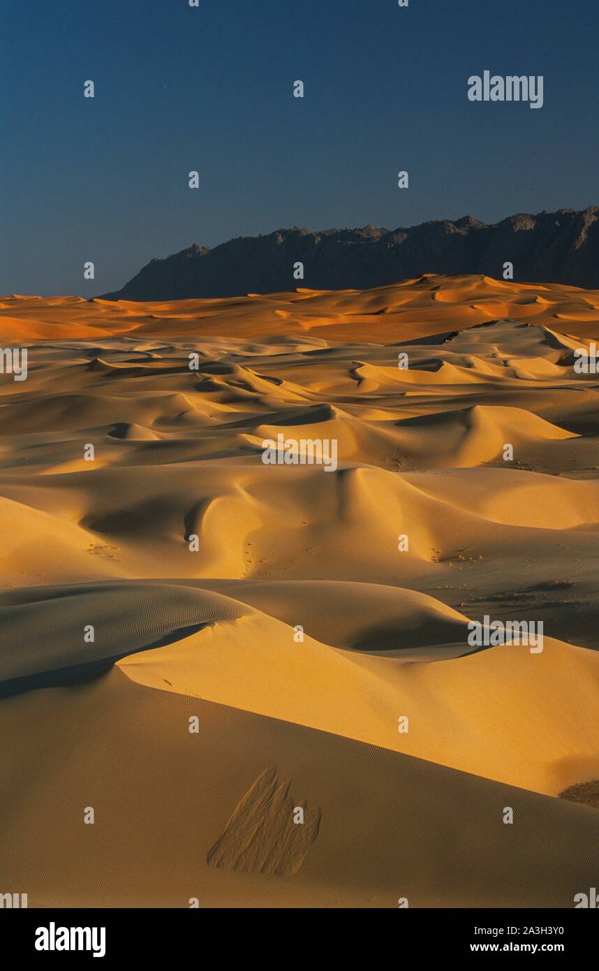 Tenere tree niger hi-res stock photography and images - Alamy