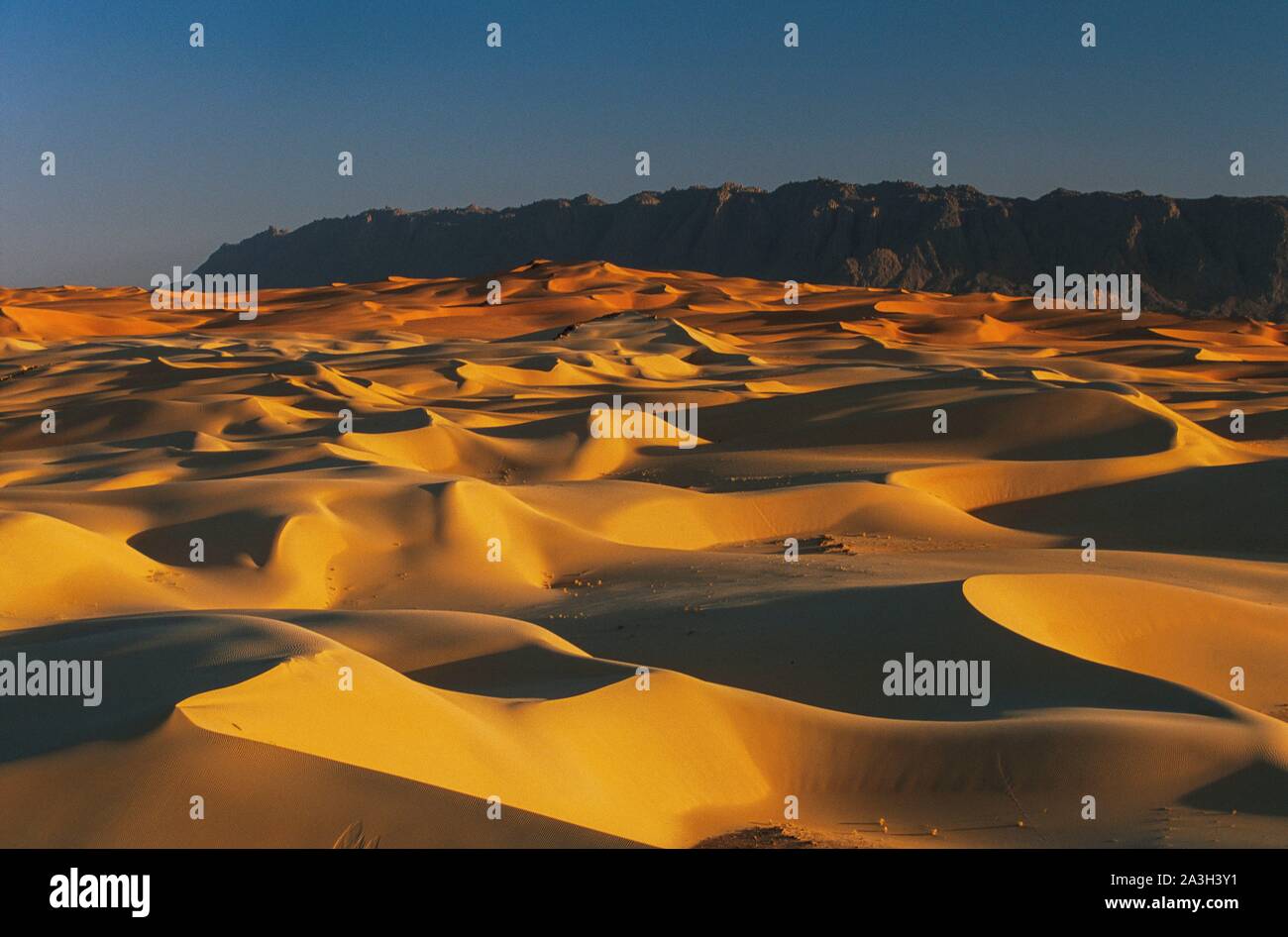 Tenere tree niger hi-res stock photography and images - Alamy