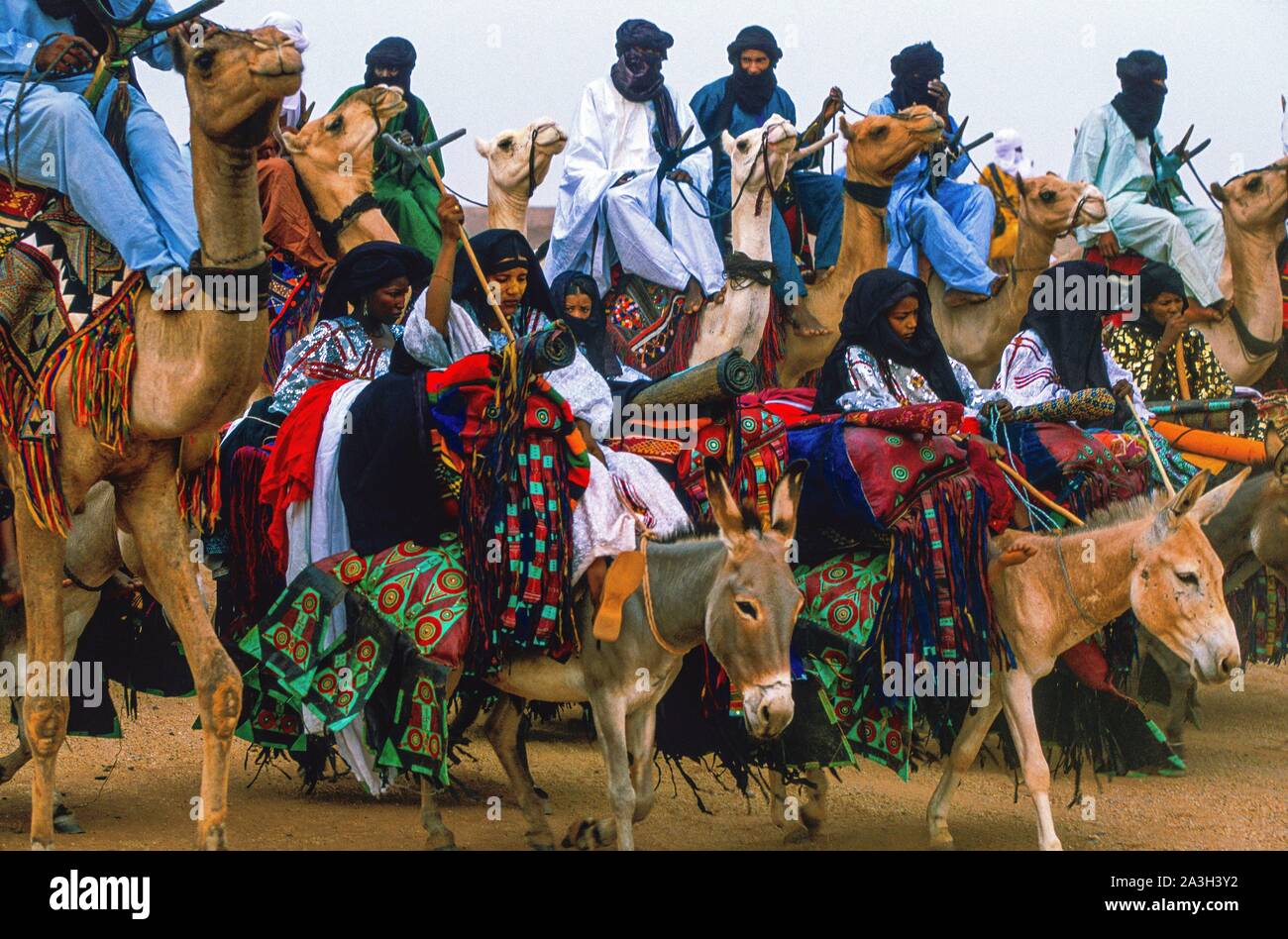 Niger, Sahara, Ingal, Tuareg tribes during the salt cure Stock Photo ...