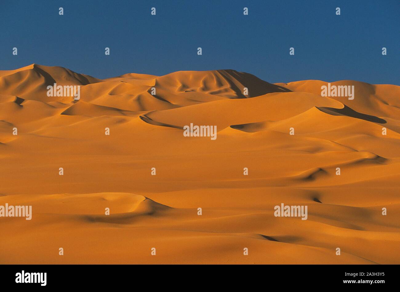 Tenere tree hi-res stock photography and images - Alamy