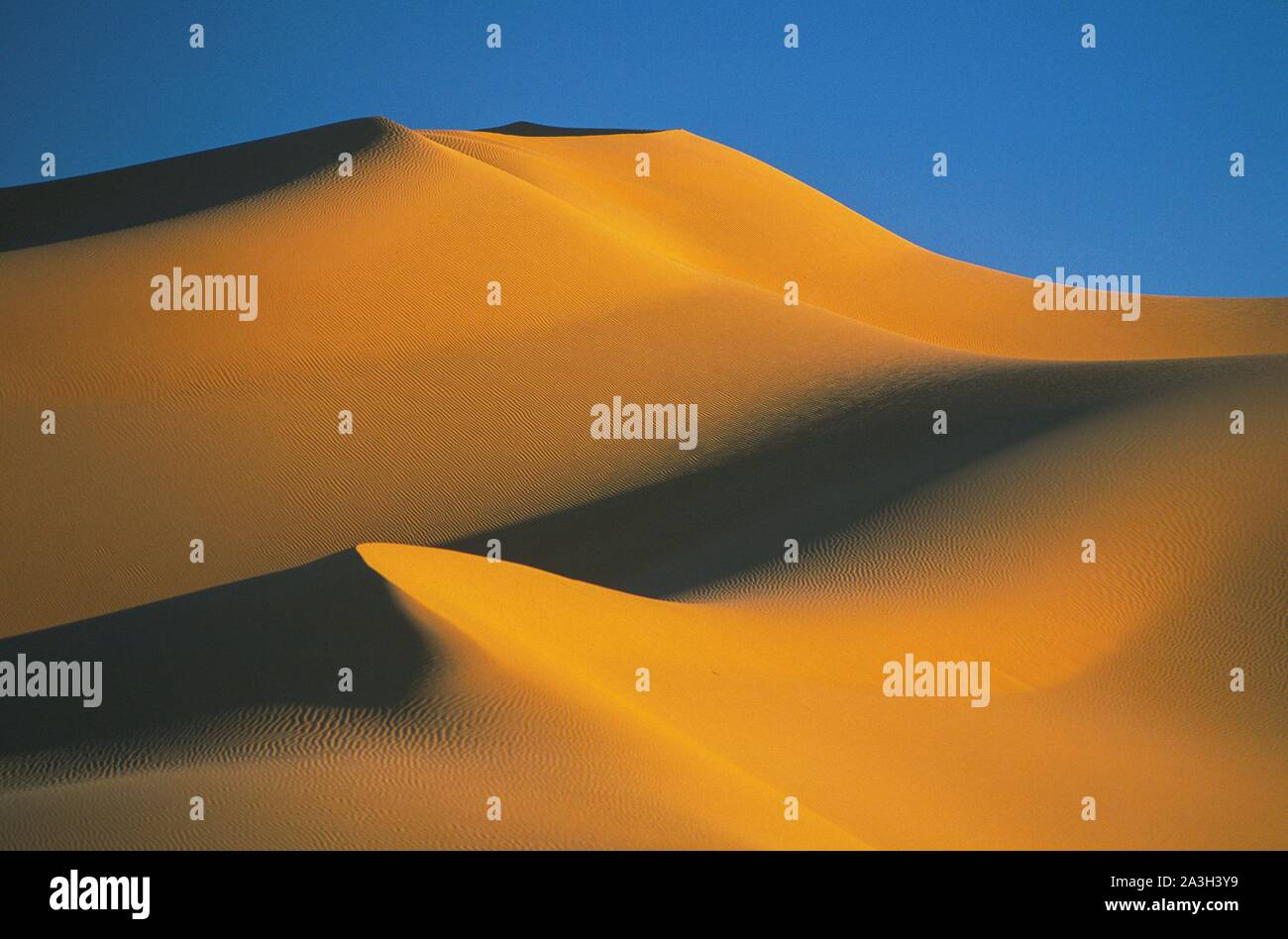 Tenere tree niger hi-res stock photography and images - Alamy