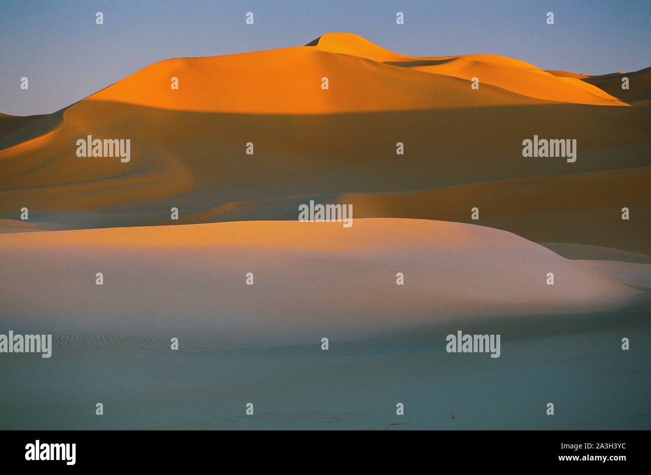 Tenere tree niger hi-res stock photography and images - Alamy