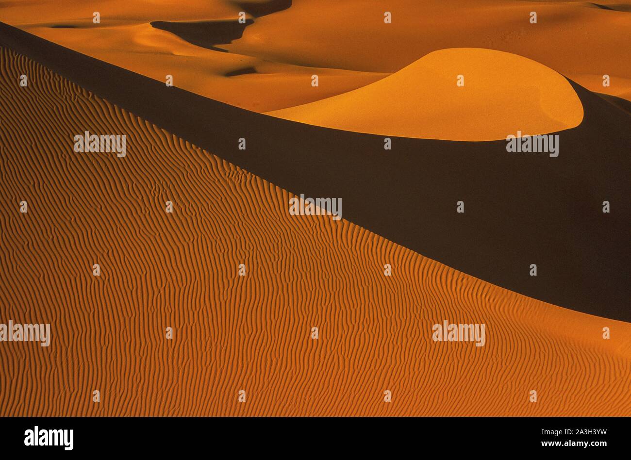 Tenere tree niger hi-res stock photography and images - Alamy