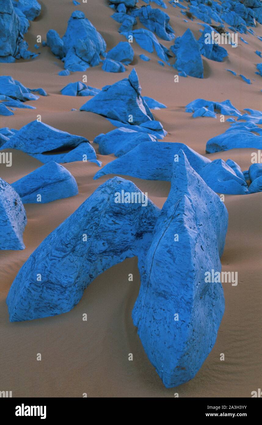 Tenere tree hi-res stock photography and images - Alamy