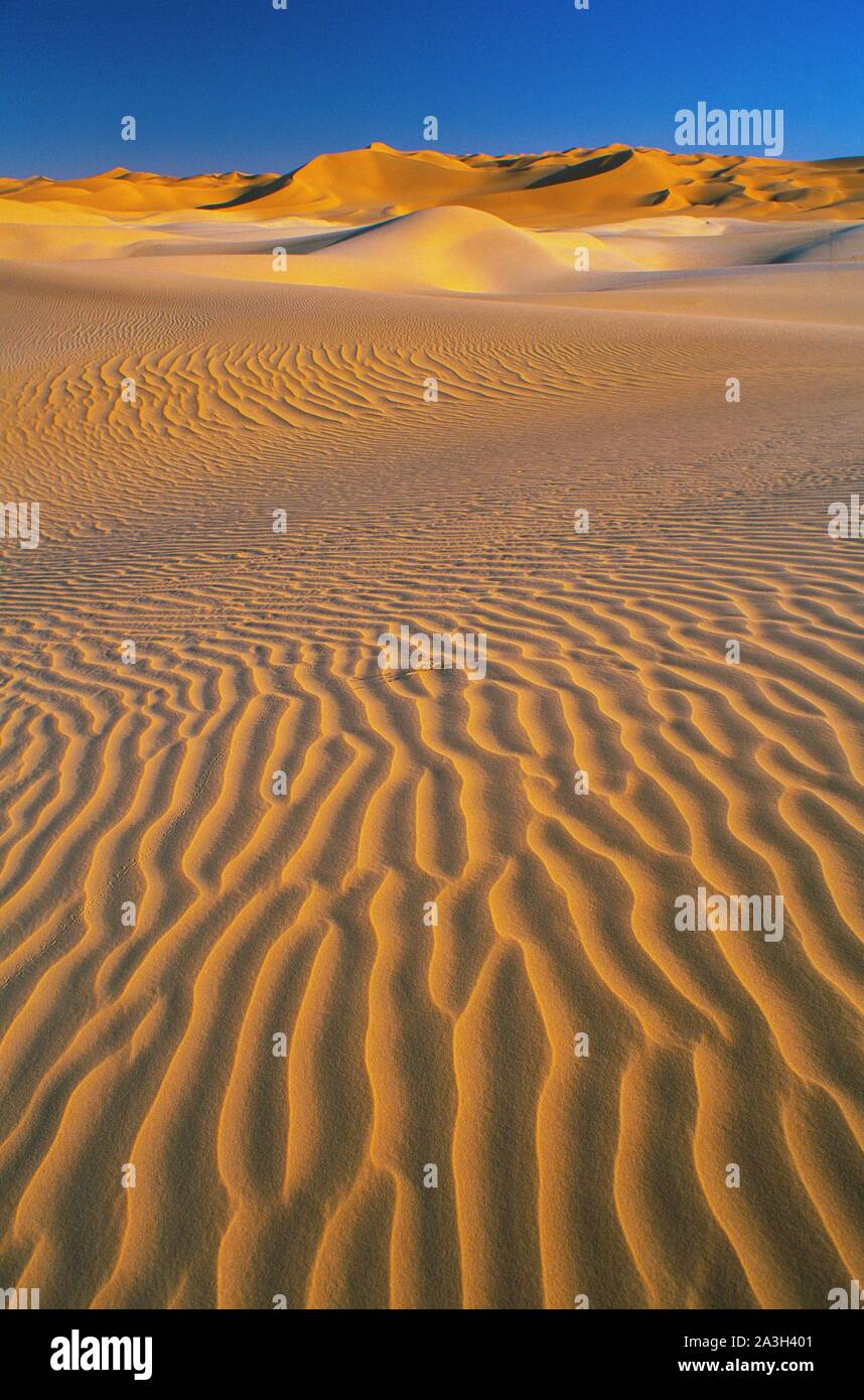 Tenere tree hi-res stock photography and images - Alamy