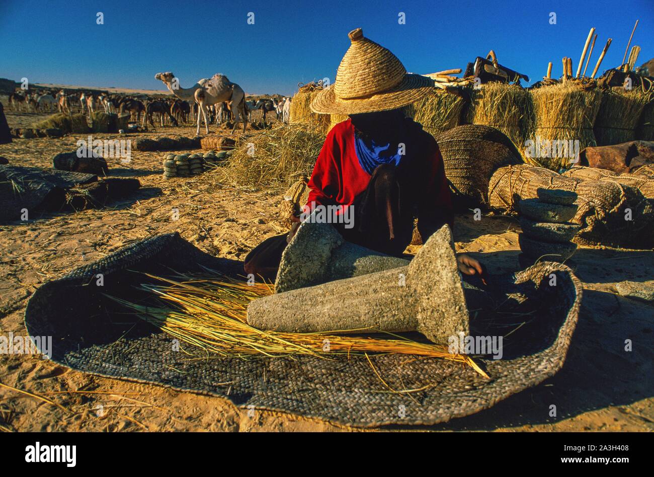 Niger, Tenere, Caravans of salt in the mines of Bilma and Fachi in the ...