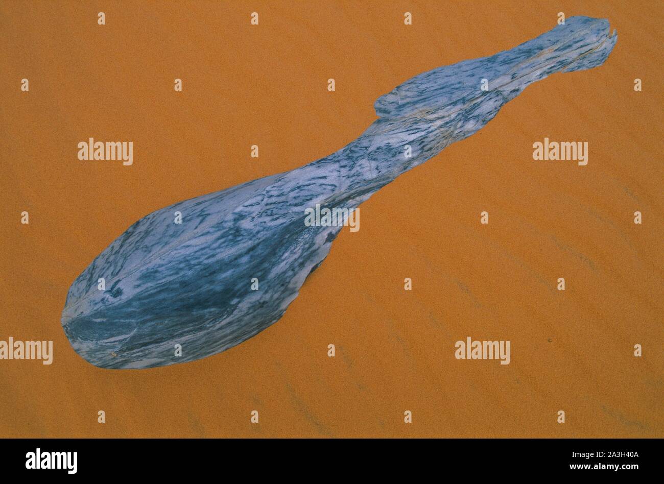 Tenere tree hi-res stock photography and images - Alamy