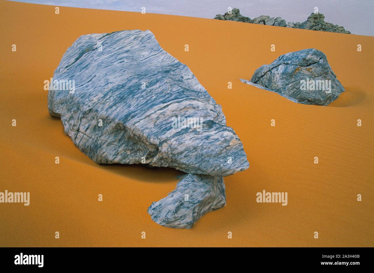 Acacia tenere tree hi-res stock photography and images - Alamy