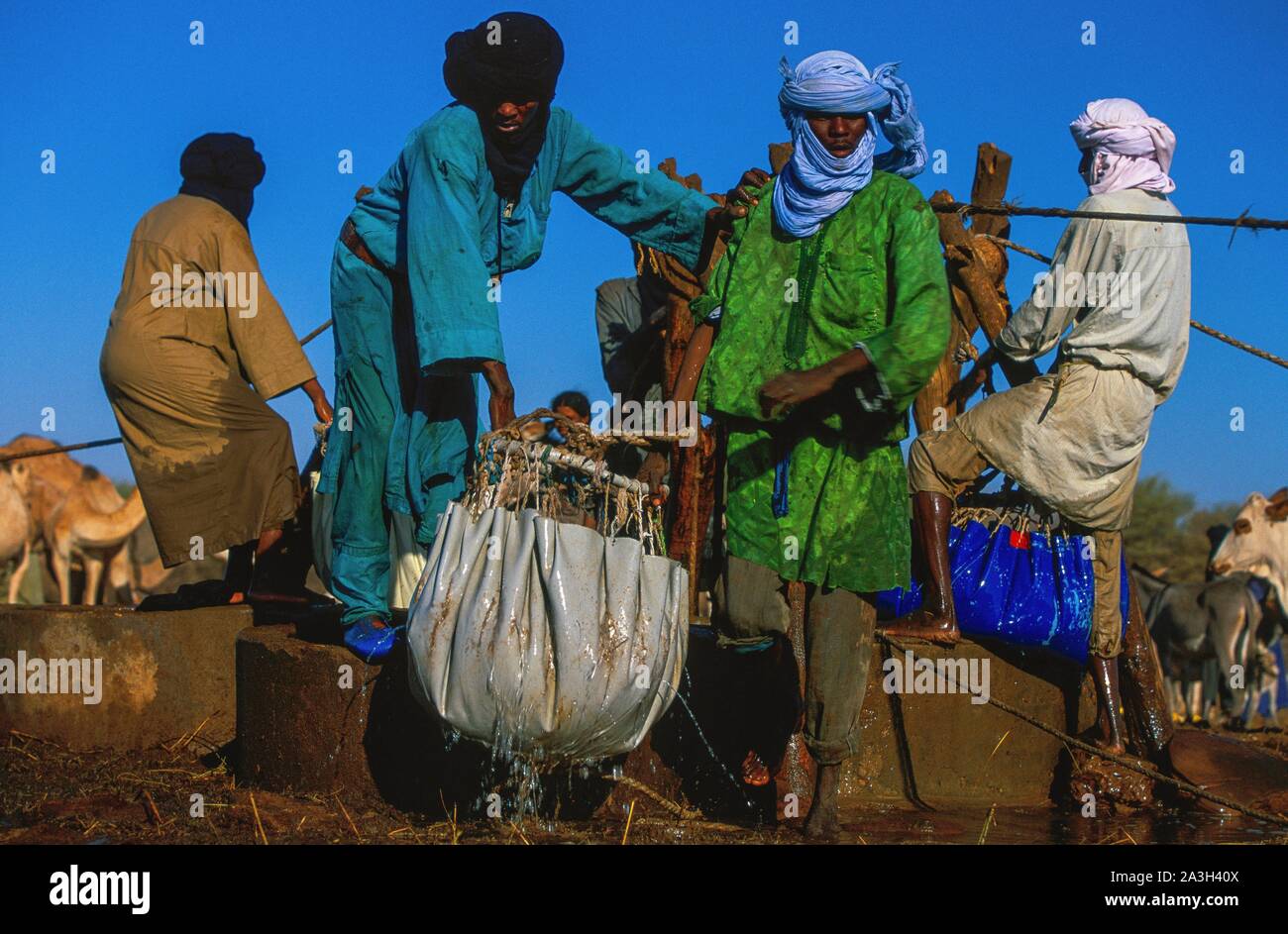 Tuareg at well hi-res stock photography and images - Alamy