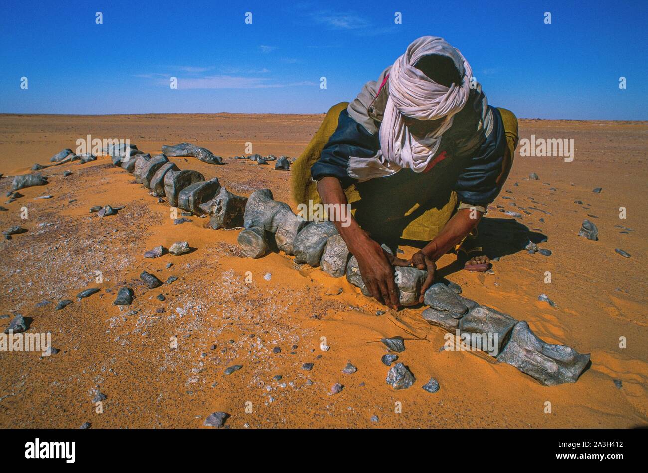 Niger, Tenere, Dinosaur fossils at Gobero in the desert of Tenere Stock ...