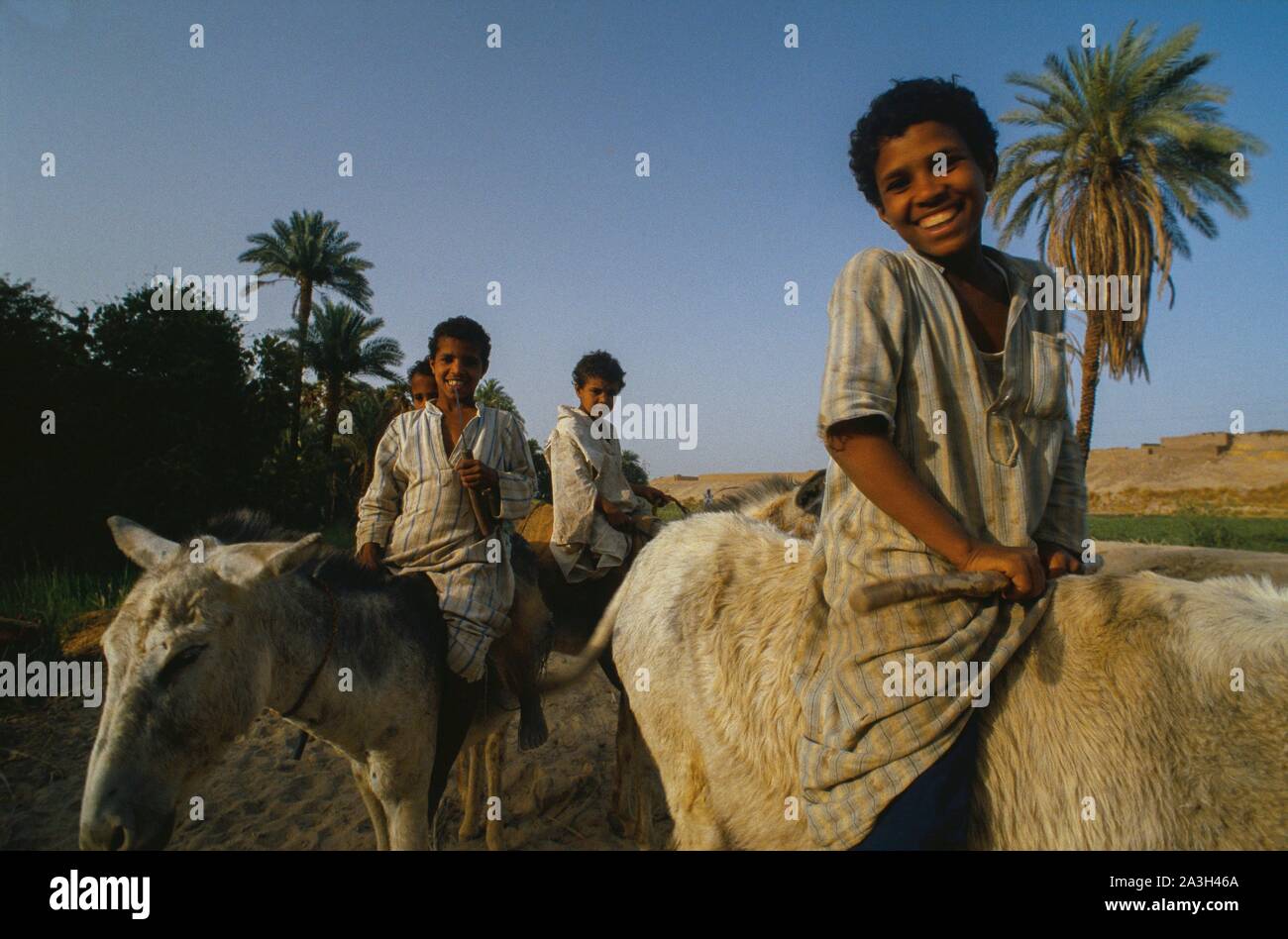 Egypt, Nile, Portraits of the inhabitants of the Nile Valley Stock ...