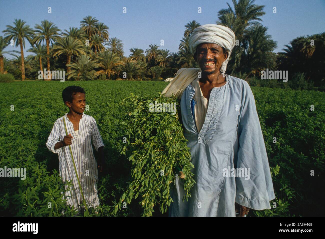 Egypt, Nile, Portraits of the inhabitants of the Nile Valley Stock ...