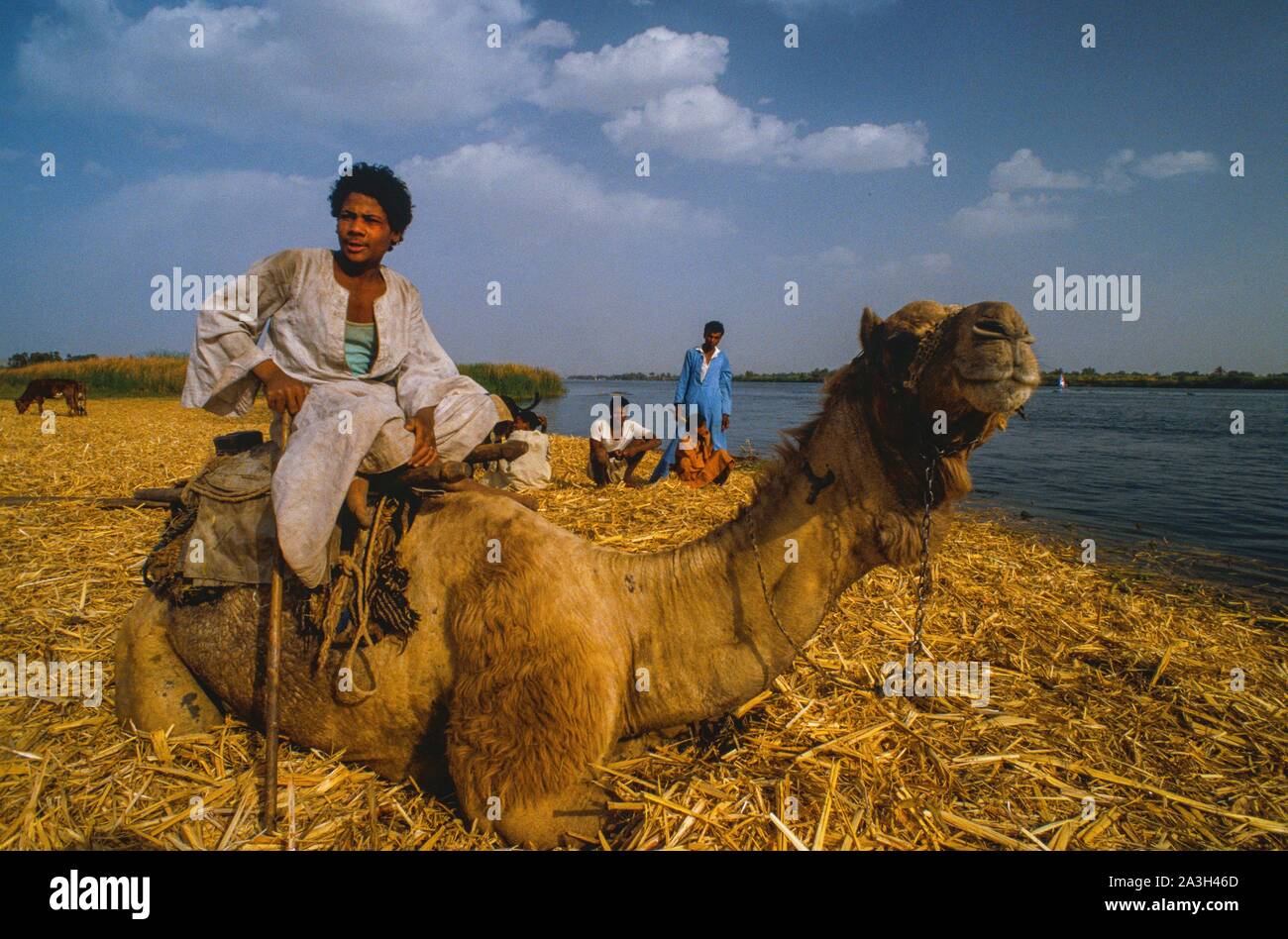 Egypt, Nile, Portraits of the inhabitants of the Nile Valley Stock ...