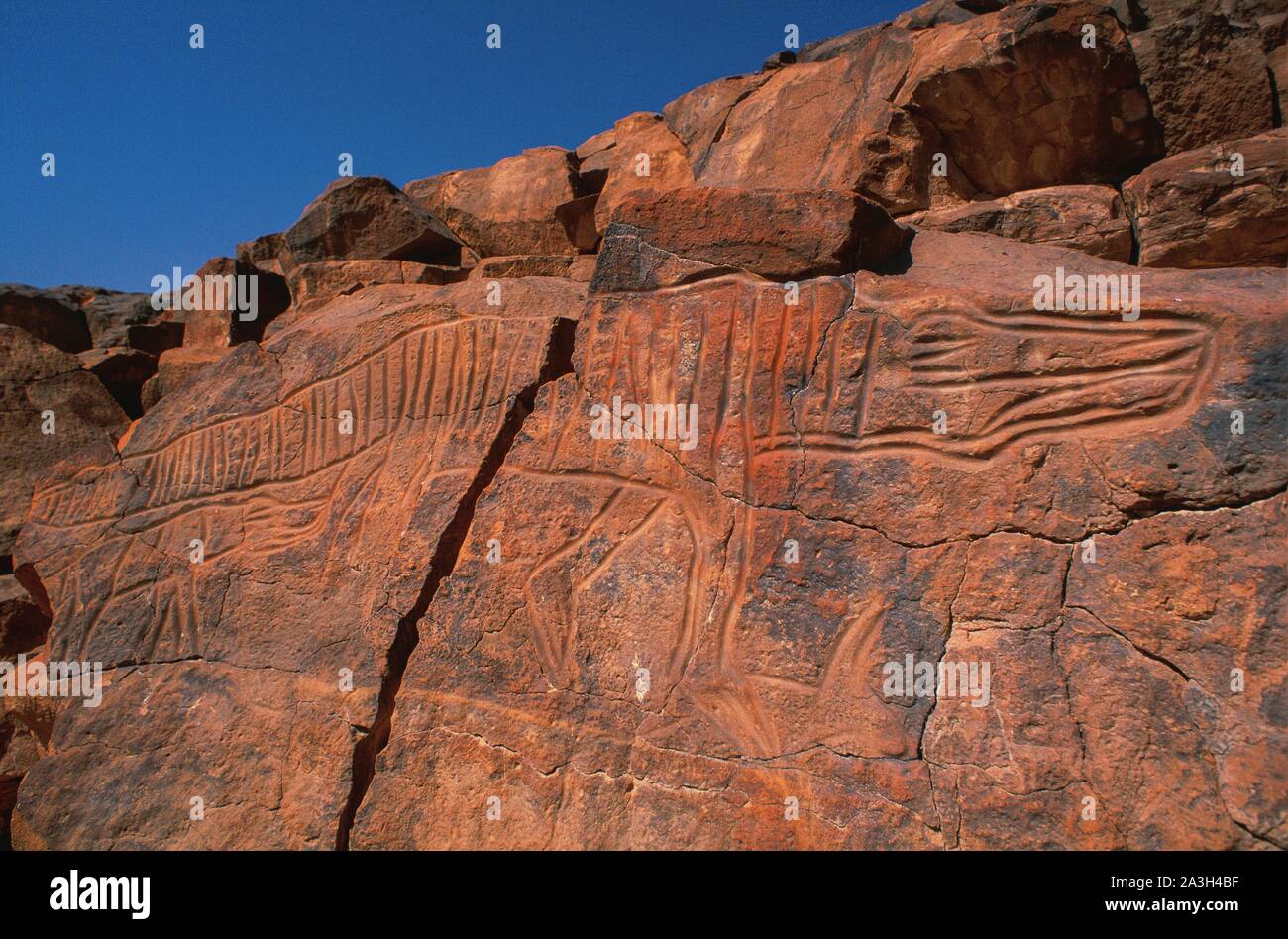 Libya, Sahara, Rock carvings from Messak Settafet Stock Photo - Alamy