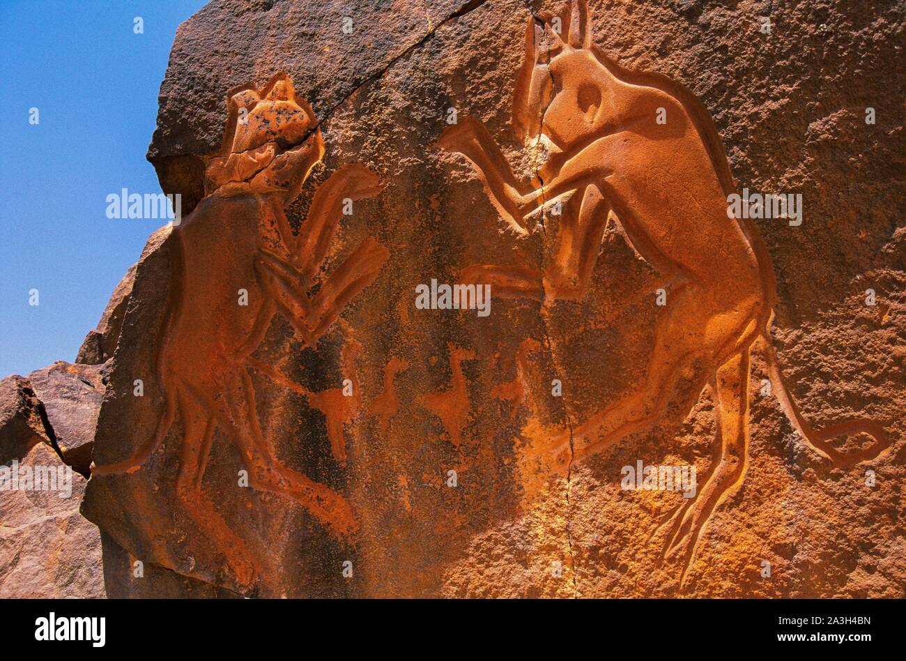 Libya, Sahara, Rock carvings from Messak Settafet Stock Photo - Alamy