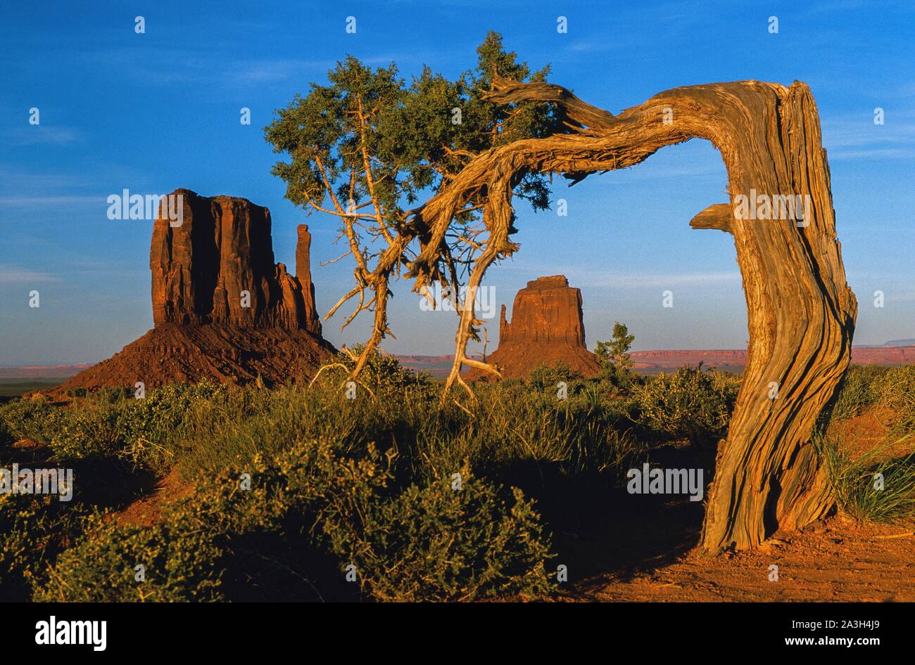 Monumen Valley High Resolution Stock Photography and Images - Alamy