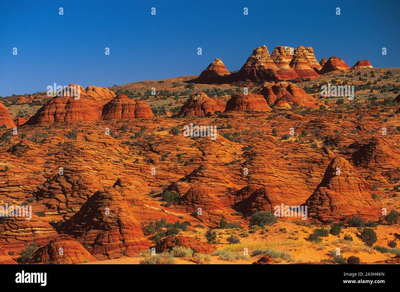 United States, Arizona, the Wave, V National Monument, Spectacular Rock ...
