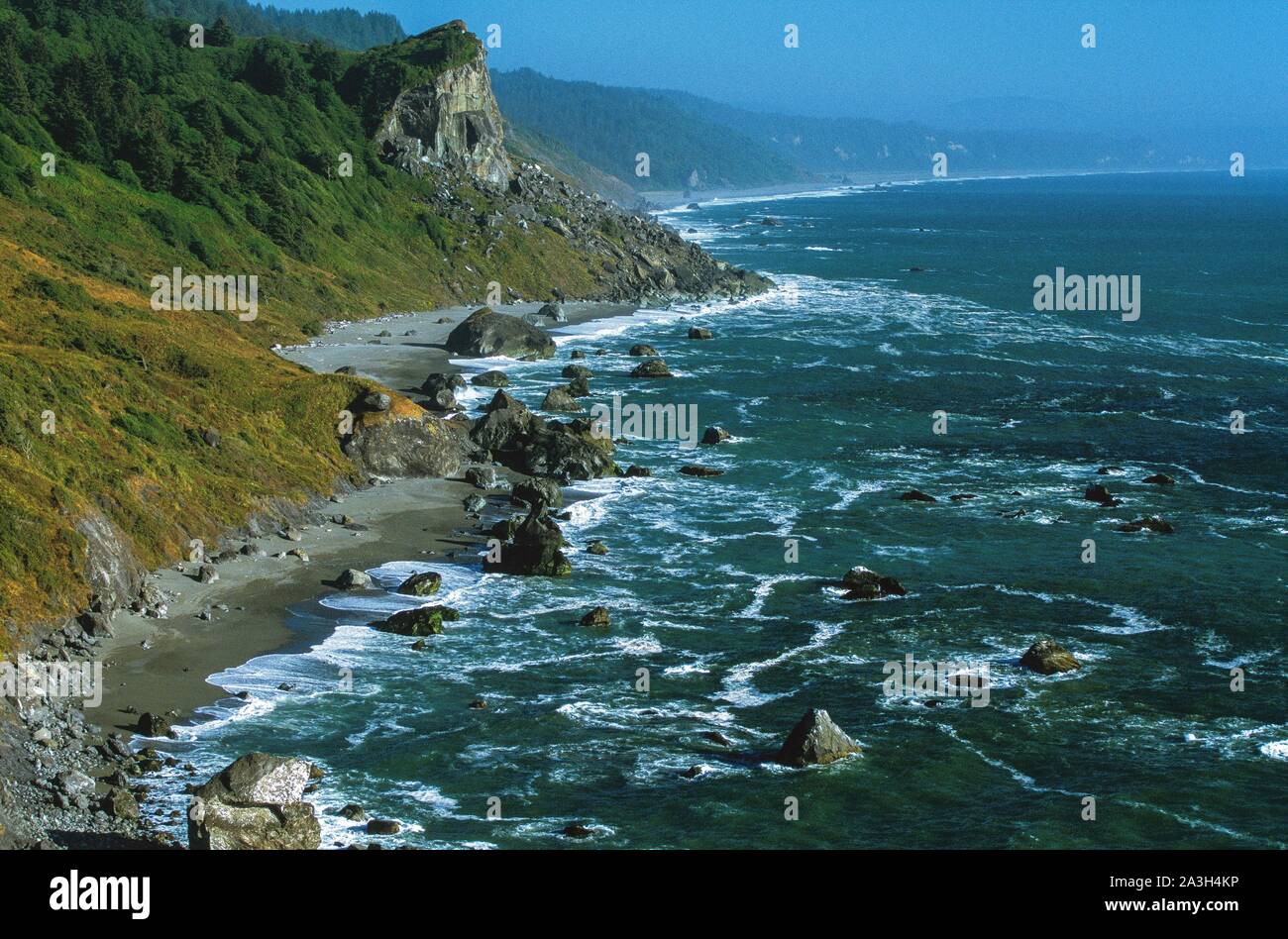 United States, California, Redwood National Park, Redwood National Park ...