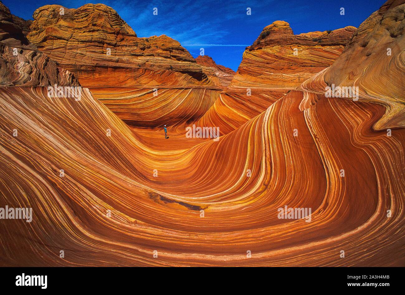 United States, Arizona, the Wave, V National Monument, Spectacular Rock ...