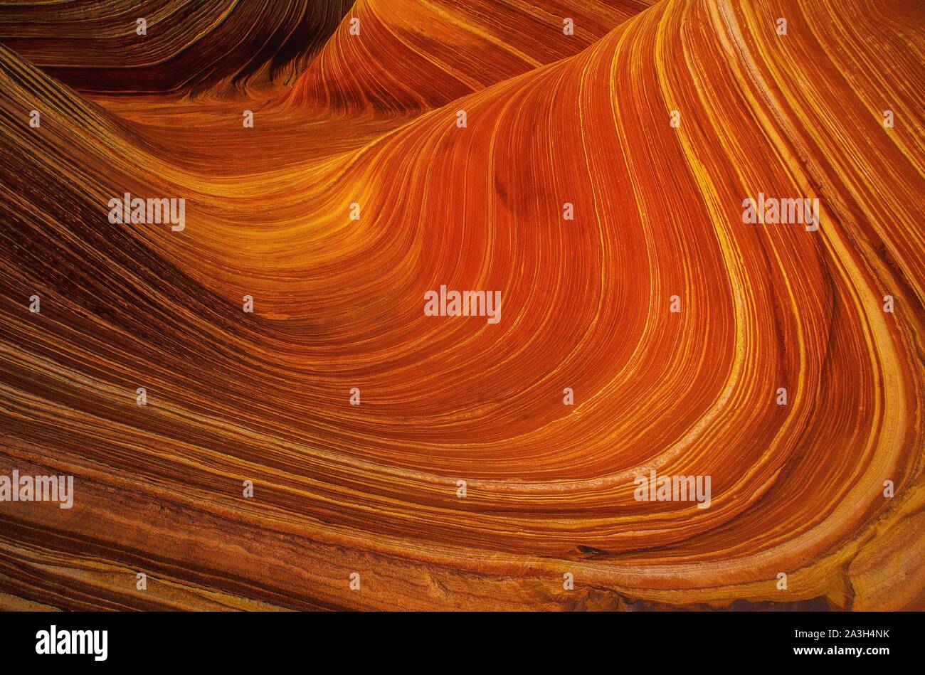 United States, Arizona, the Wave, V National Monument, Spectacular Rock ...