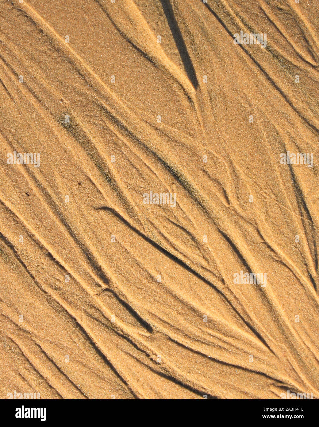 Structures in sand formed by heavy rain Stock Photo - Alamy