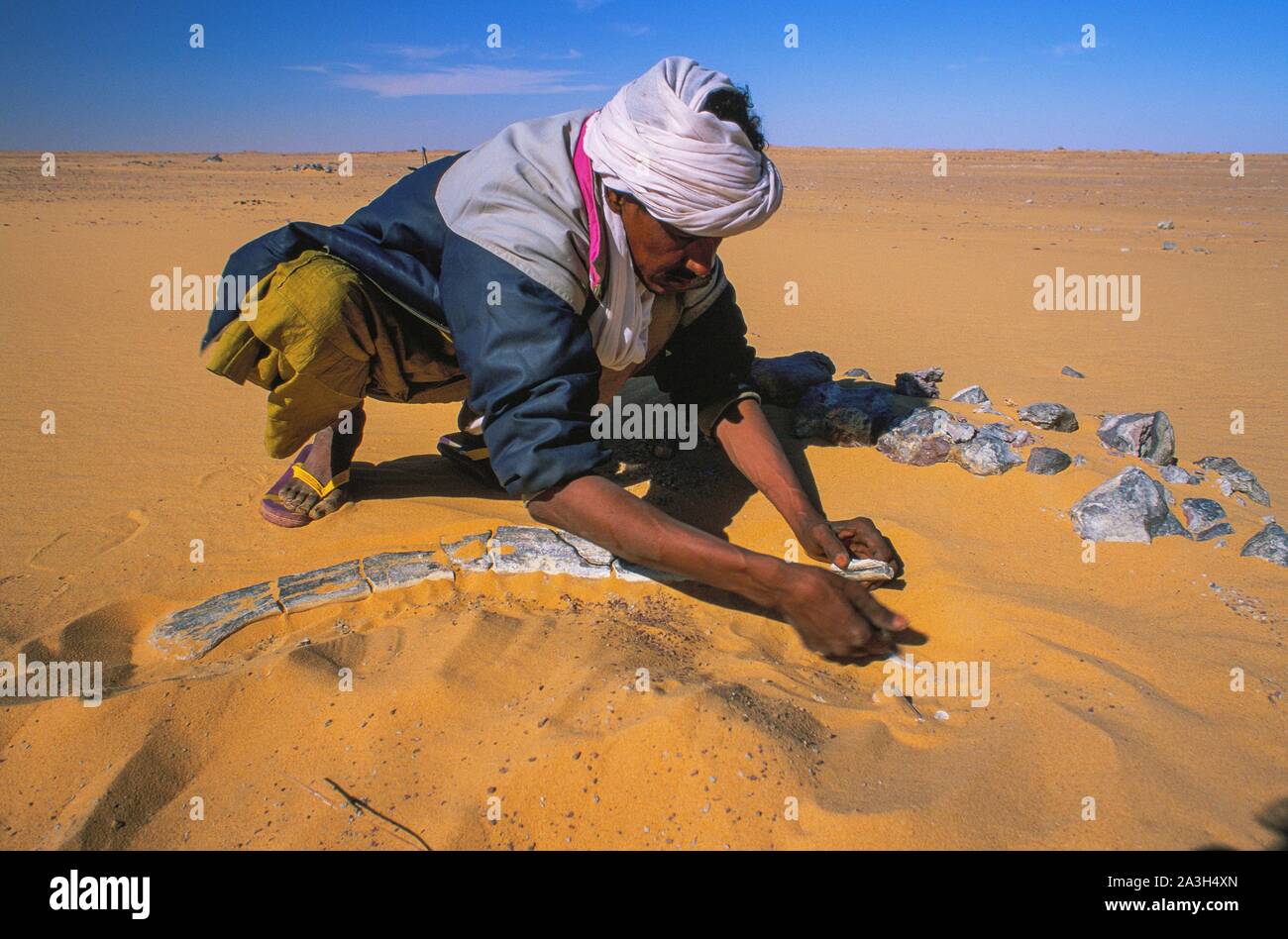 Niger, A?r and T?n?r?, Dinosaur deposit on Gadoufaoua site in the ...
