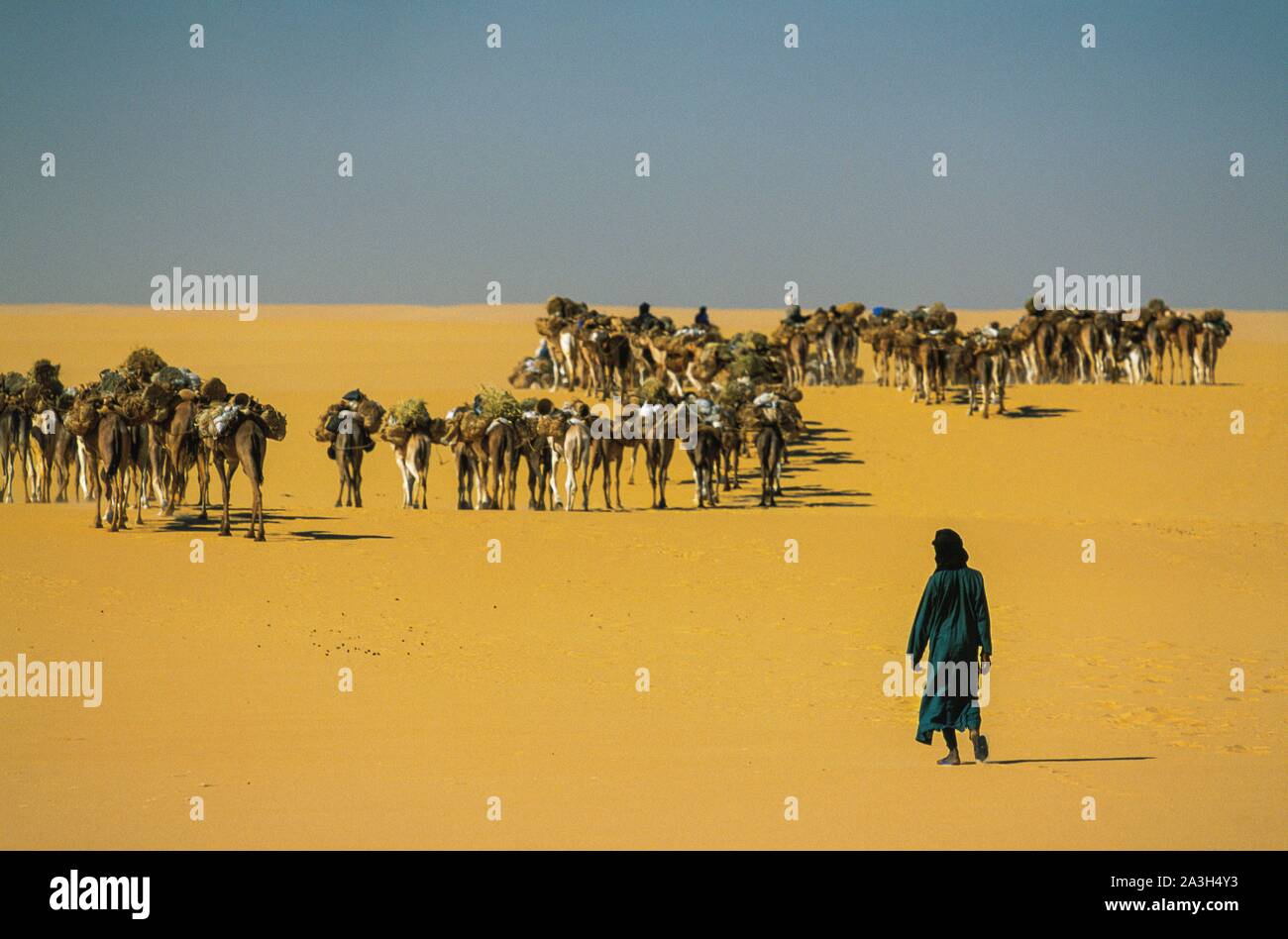 Niger, A?r and T?n?r?, Salt caravans in the desert of Tenere Stock ...