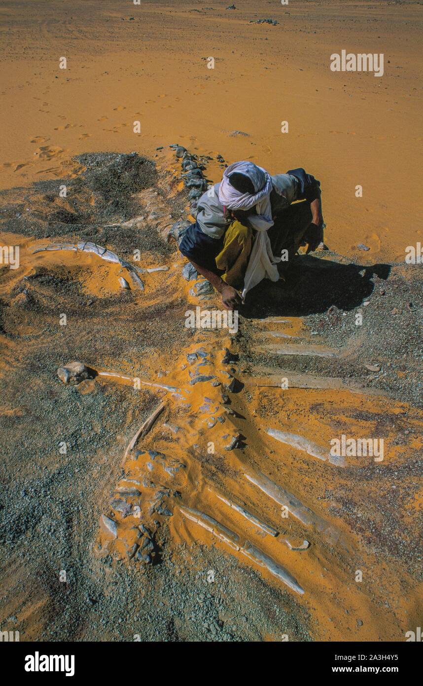 Leisure in niger hi-res stock photography and images - Alamy